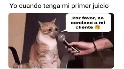 Día del abogado los mejores memes en redes sociales para celebrar la