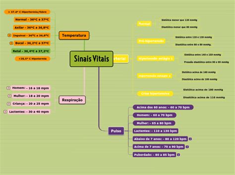 Mapas Mentais Sobre Sinais Vitais Study Maps Porn Sex Picture