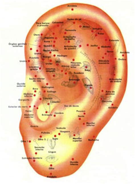 Acupuntura Auricular Karin Castro