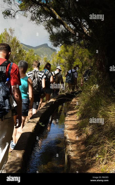 People Walking On The Network Of Levadas Water Channels Which Cross