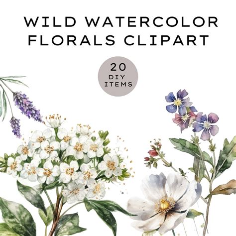 Wild Floral Clipart Watercolor Wild Flowers Watercolor Clipart PNG