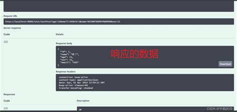 springboot（八）整合swagger swagger接入 csdn博客