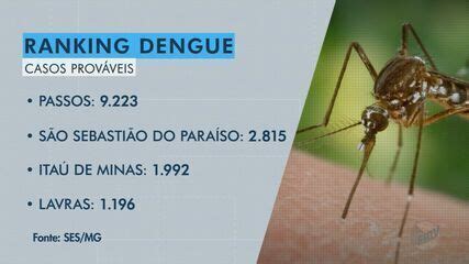Dengue Sul de Minas ultrapassa marca de 20 mil casos prováveis da