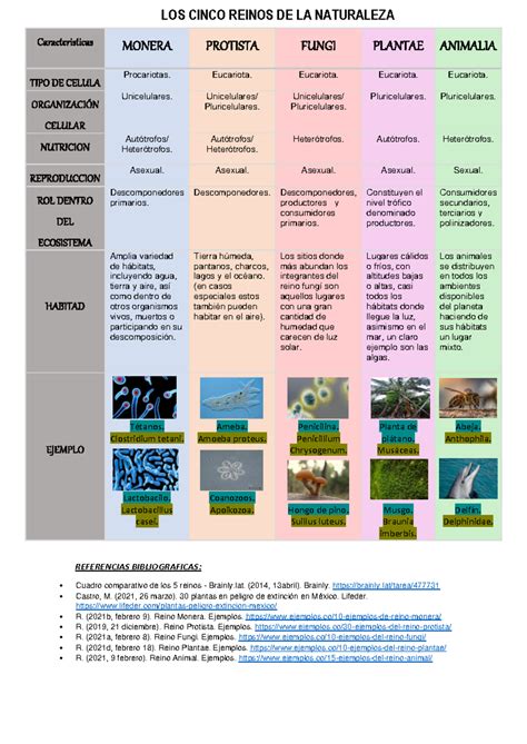Reinos De La Naturaleza Referencias Bibliograficas Cuadro
