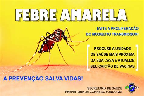 Secretaria De Sa De Desenvolve Campanha Para Preven O Febre Amarela