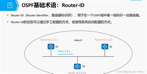 ospf基础 ospf入门实例 csdn博客