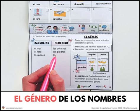 Cómo enseñar la concordancia Cómo enseñar gramática a niños