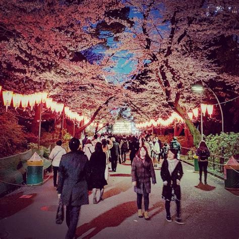 10 Tempat Wisata Jepang Yang Wajib Dikunjungi Ketika Liburan Hot Sex