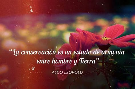 Descubrir 41 Imagen Frases Celebres Para El Dia Del Medio Ambiente