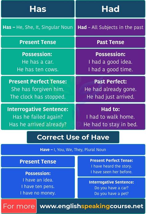Have Has Had Basic English Grammar Grammar