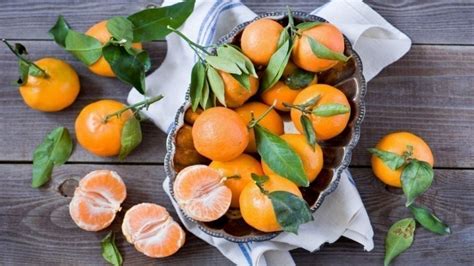 CÓMO GERMINAR SEMILLAS DE MANDARINA POR HIDROPONÍA