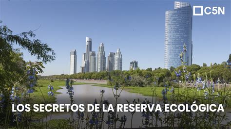 Los SECRETOS de la RESERVA ECOLÓGICA de COSTANERA SUR de BUENOS AIRES