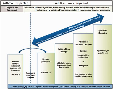Chronic Asthma In Adults Laura Wiffen Jessica Gates Thomas Brown