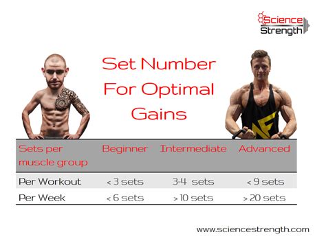 How Many Sets Per Workout Alline Virden
