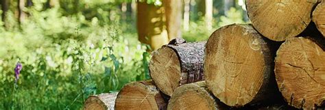Lutter contre la déforestation au quotidien