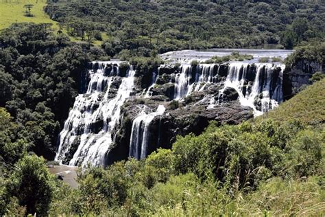 Brasil precisa recuperar 25 milhões de hectares de vegetação nativa