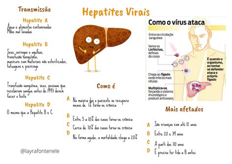 Hepatites Virais Hepatites Virais Mapa Mental Hemoterapia