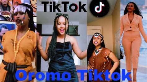 Sirba Afaan Oromoo Haaraa Oromo Music Oromotiktok Youtube