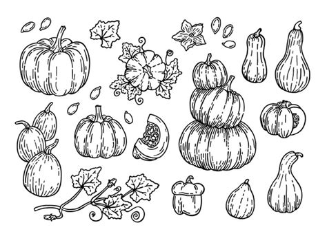587 668 Dibujo Calabaza Images Stock Photos 3D Objects Vectors