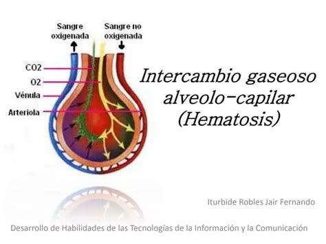Cambios En La Membrana Alvéolo capilar Detección Implicaciones Y