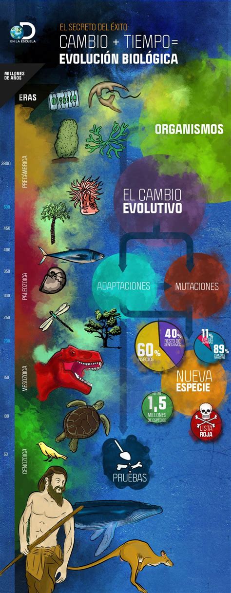 Discovery En La Escuela Evolucion Biologica Evolucion Biologico