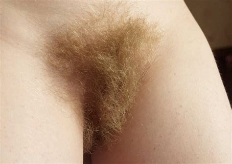 Natural Hairy Blonde Pubes Free Porn