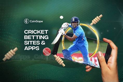 Best Cricket Betting Sites in India July 2024 Update Viva a emoção
