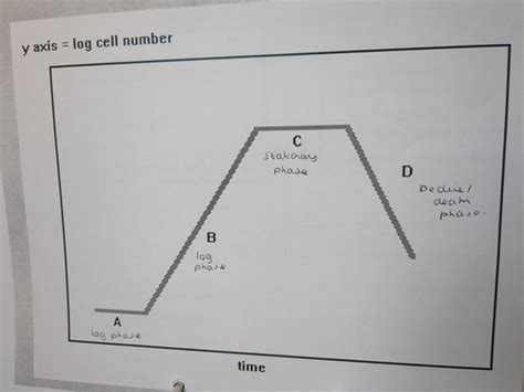Cloning And Biotechnology Flashcards Quizlet