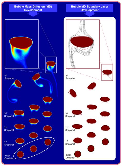 multiscale simulation of mass transfer in bubbly flow