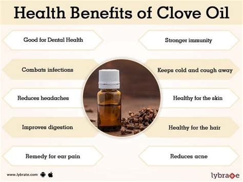 Clove Oil Benefits And Its Side Effects Lybrate