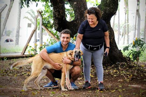 Araraquara tem campanha de adoção de animais neste sábado ACidade ON