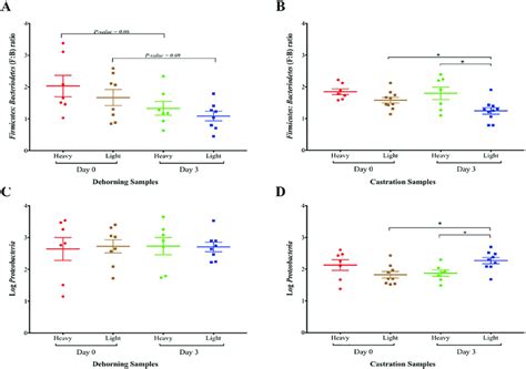 The Firmicutes Bacteroidetes F B Ratio And Concentration Of