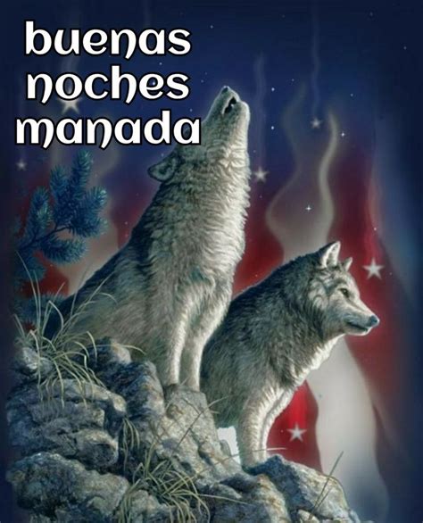 Pin de Máximo en Memes en 2023 Humor de animales Animales Imágenes