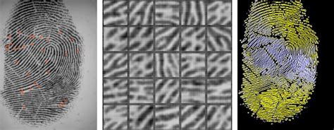 partial fingerprint matching