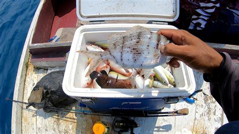 Beginilah Serunya Mancing Disaat Ikan Lagi Banyak Banyaknya YouTube