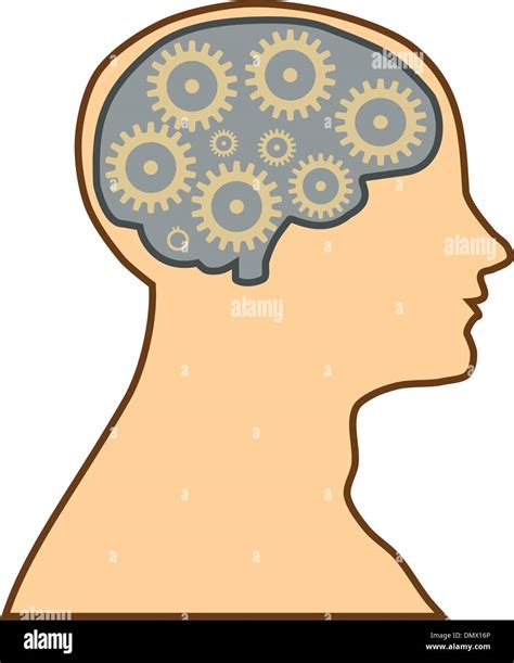 Brain Processing Information Hi Res Stock Photography And Images Alamy