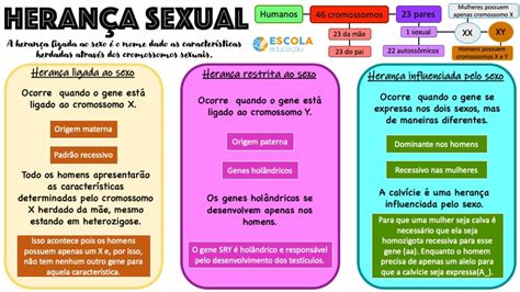Mapa Mental Mapa Mental Images Porn Sex Picture
