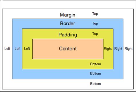 Margin Padding Border Css Tutorial Content Words Cascading Style Sheets