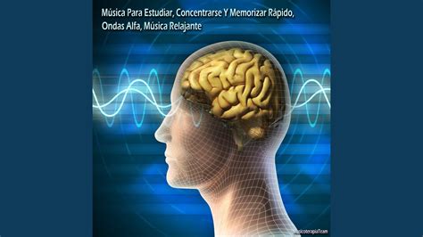 Música Para Estudiar Concentrarse Y Memorizar Rápido Ondas Alfa