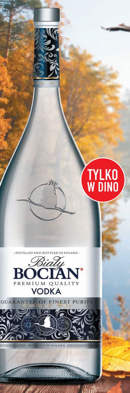 W Dka Bia Y Bocian Promocja Dino Ding Pl