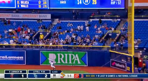 Video Fan Knocked Unconscious After Trying To Catch Trevor Larnach S