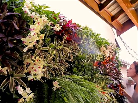 Passo A Passo Para Fazer Um Jardim Vertical Minhas Plantas