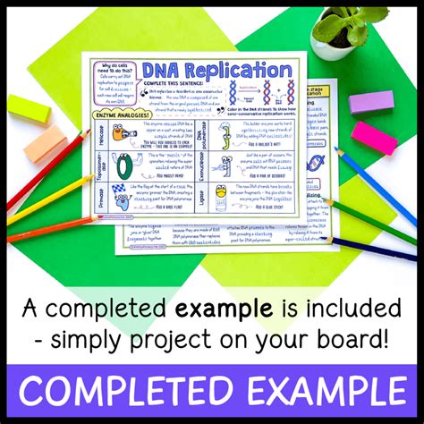 Dna Replication Doodle Notes Emmatheteachie
