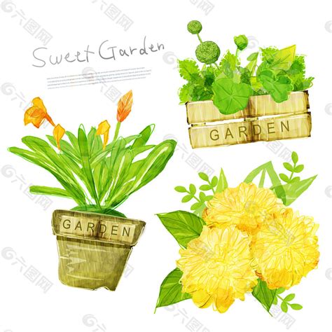 花盆里的绿叶花卉植物PSD分层素材平面广告素材免费下载 图片编号 7844763 六图网