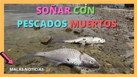 Descubre el significado de soñar con peces en agua sucia