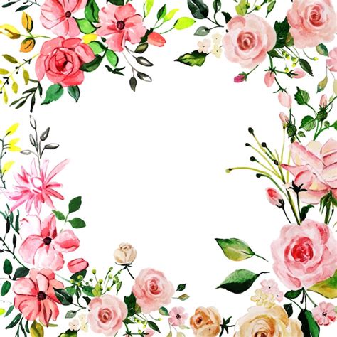 Fundo Floral Rosa Aquarela Rosa Vetor Premium