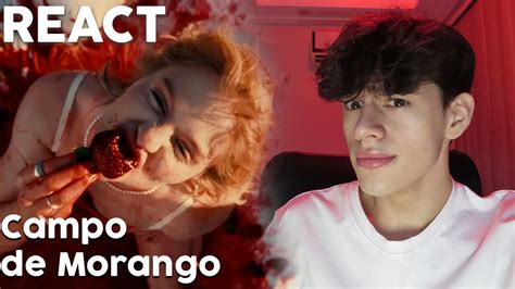 Oque Foi Isso React De Campo De Morango De Lu Sa Sonza Youtube