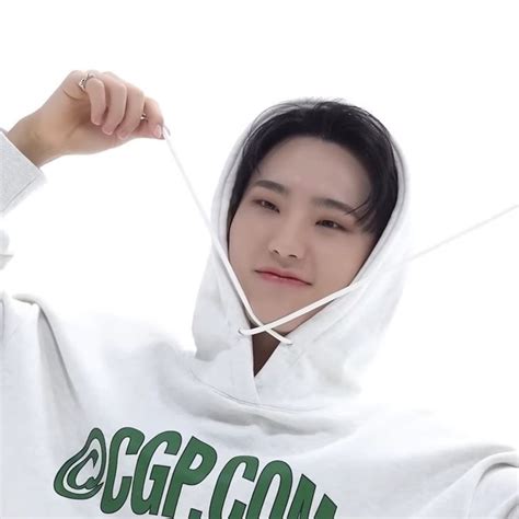 In Hoshi Kpop Svt