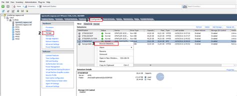 VMware Host Client ESXi RAGASYS SISTEMAS
