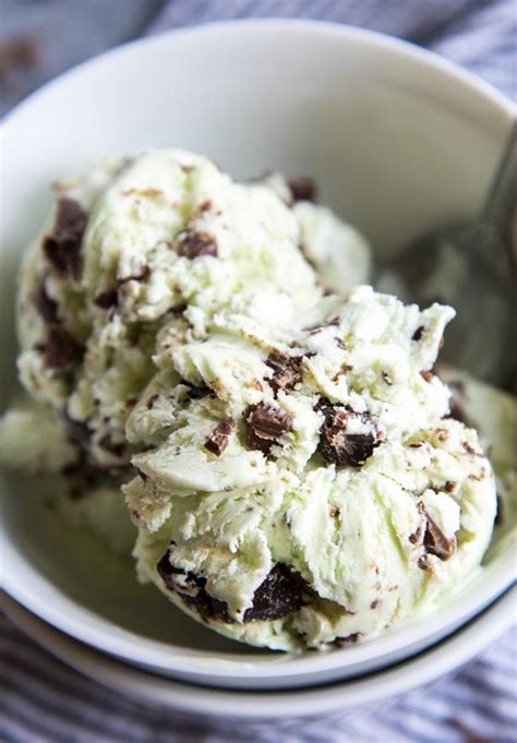 No Churn Mint Chocolate Chip Ice Cream LMLDFOOD